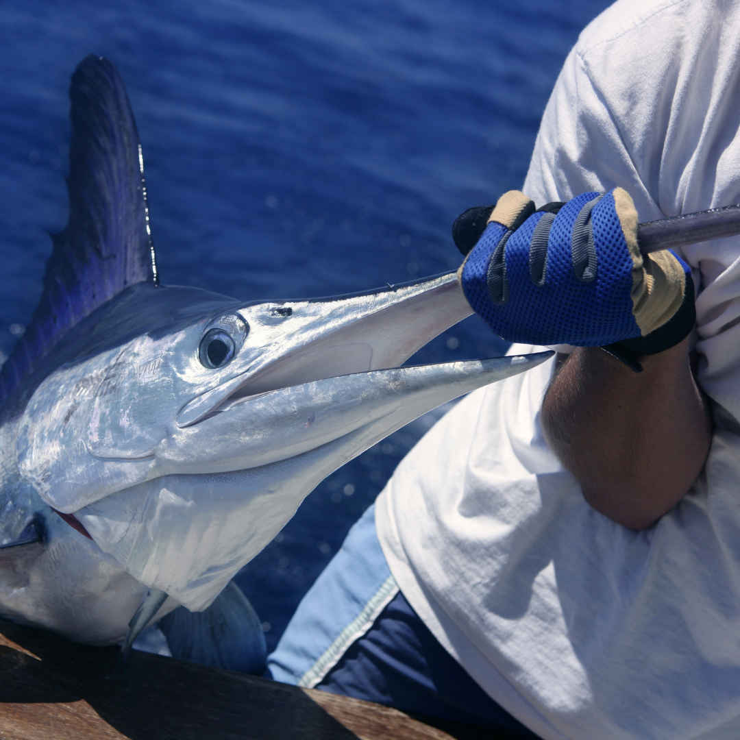 How to Create and Host a World Class Fishing Tournament - Fi$hfin